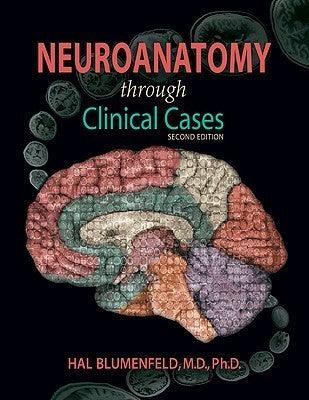 Neuroanatomy Through Clinical Cases by Hal Blumenfeld - Thryft Asia
